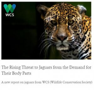 Restore Species News | Restore Species Partnership